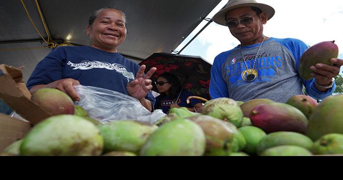 13th annual Agat Mango Festival | Guam News | postguam.com