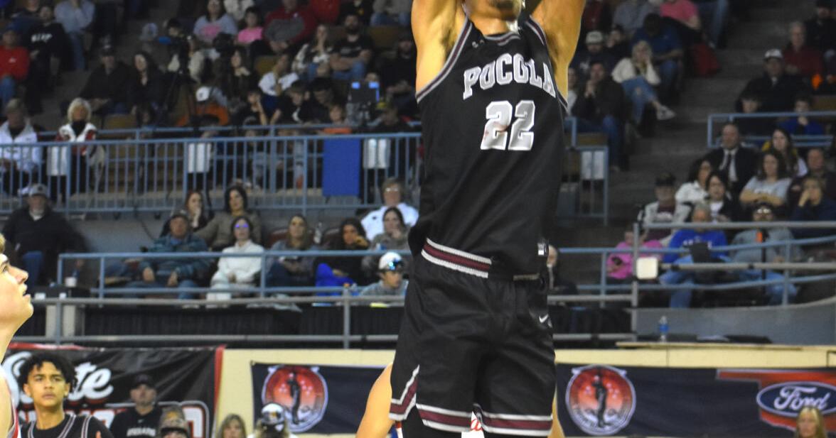 Pocola's Terrell makes basketball All-State; three from area are All ...