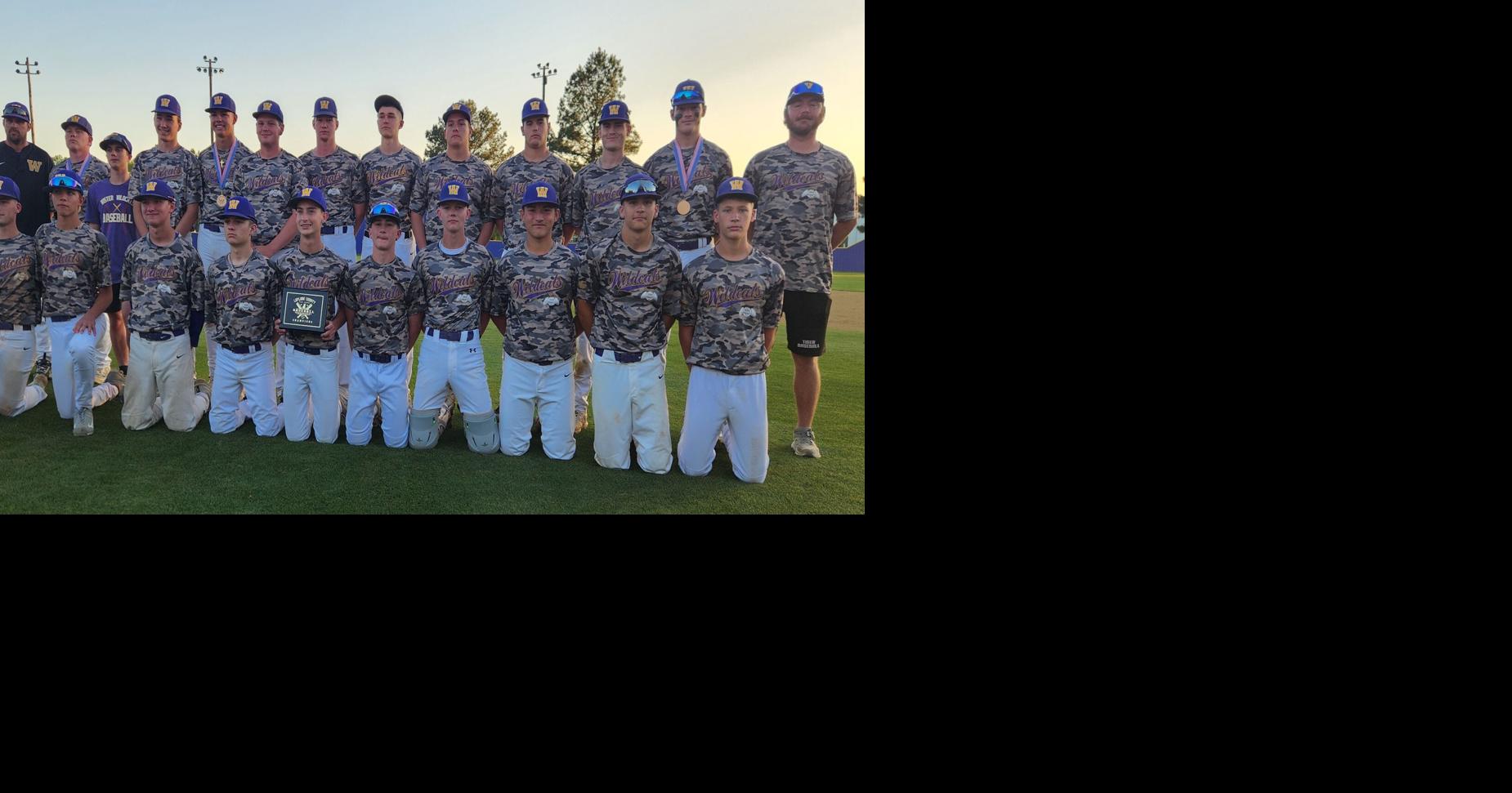 Wister wins fourth LCT Baseball championship in five years, shutting ...