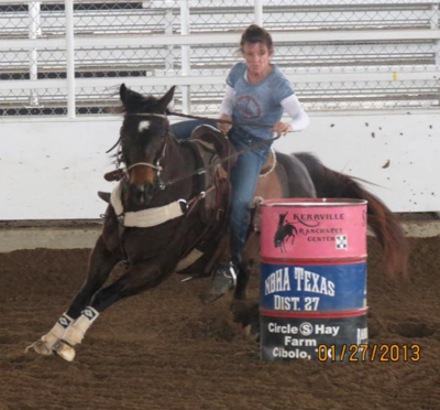 Horse Leg Care Essential | News | pottcotimes.com
