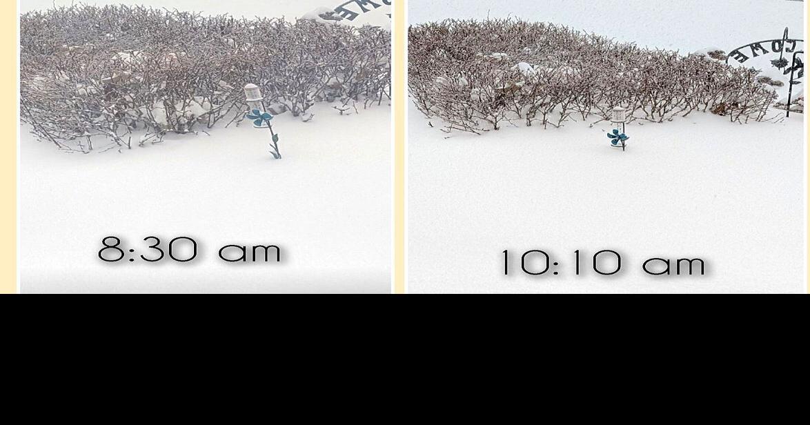 Snowmageddon Readers' Pics | | pottcotimes.com