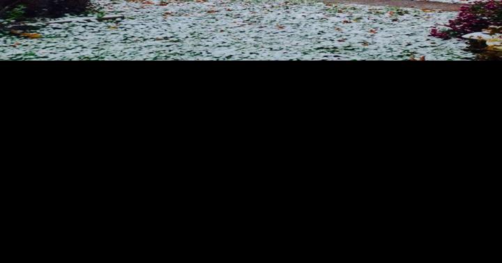 YOUR PHOTOS: Scenes from a late-fall snow | News | princewilliamtimes.com