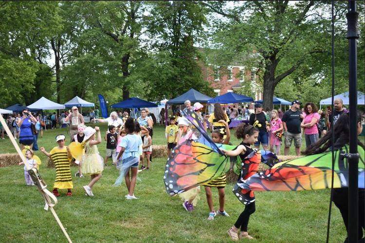 3rd annual Manassas Bee Festival is set for Saturday | Lifestyles ...