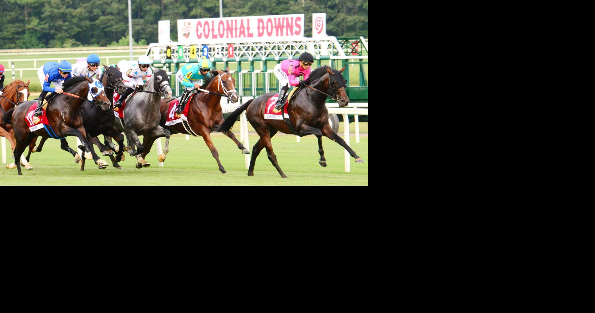 Digital horse race betting pumps money into the real thing | News ...