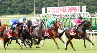 Digital horse race betting pumps money into the real thing | News ...