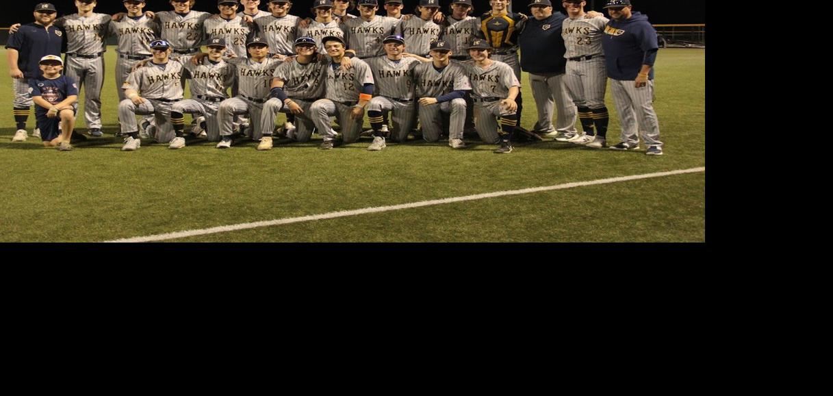 IT’S EASY TO GAWK AT THE HAWKS’ TALENTED BASEBALL SQUAD | Sports ...
