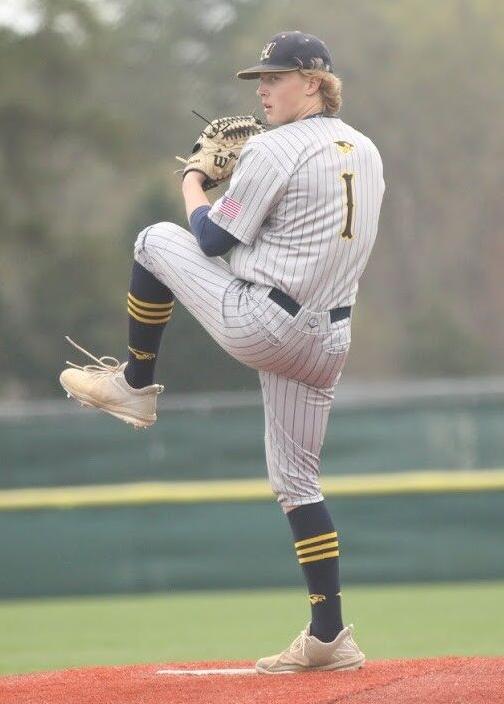 IT’S EASY TO GAWK AT THE HAWKS’ TALENTED BASEBALL SQUAD | Sports ...