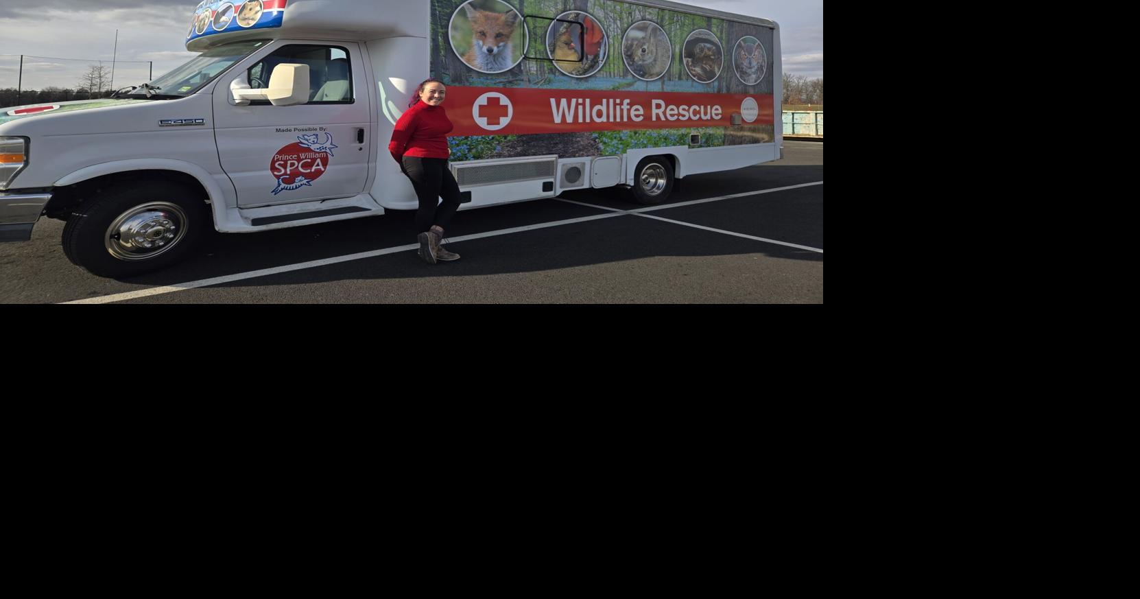 Gainesville wildlife rehabber gives transport van a new life | News ...