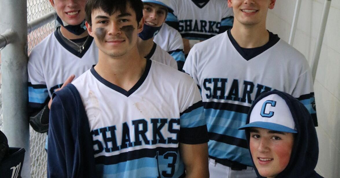 Hardworking Sharks emerging as state baseball powerhouse | Sports ...