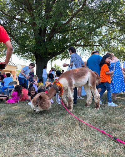 Bull Run Library to host 2nd Annual Maker Faire in Manassas ...