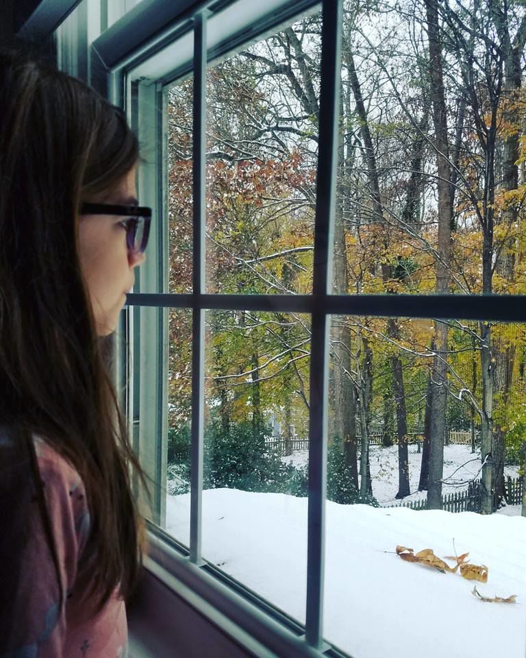 YOUR PHOTOS: Scenes from a late-fall snow | News | princewilliamtimes.com
