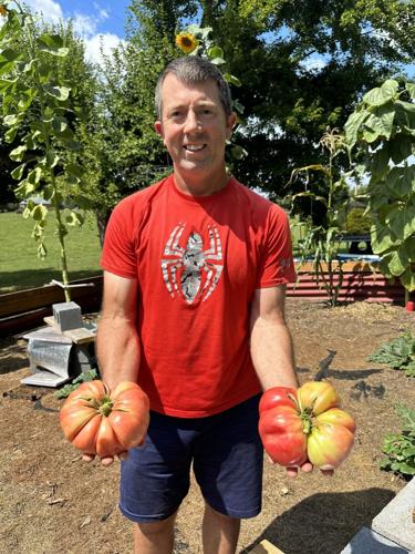 From giant watermelons to 4-pound tomatoes | Lifestyles ...