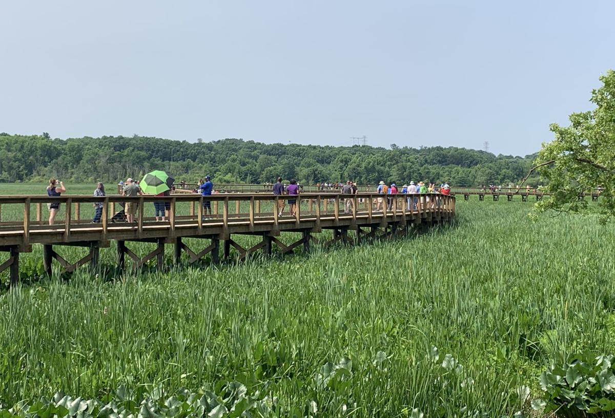 Neabsco Boardwalk opens in Woodbridge | News | princewilliamtimes.com