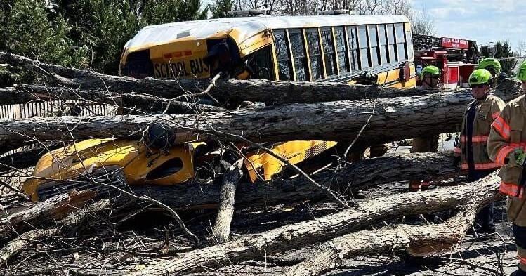 UPDATED: Tree falls on school bus; no students were on the bus | News ...