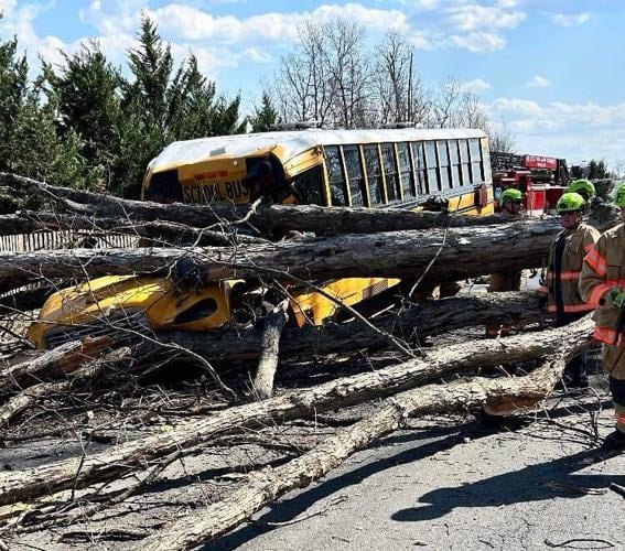 UPDATED: Tree falls on school bus; no students were on the bus | News ...