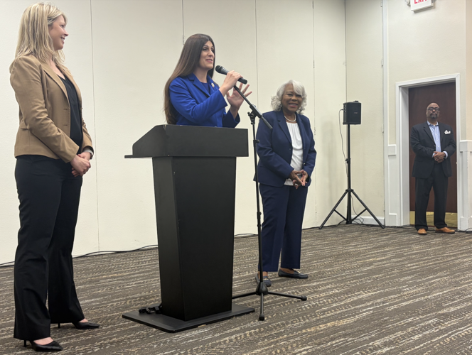 Sen. Louise Lucas gets an earful on data centers in Manassas ...