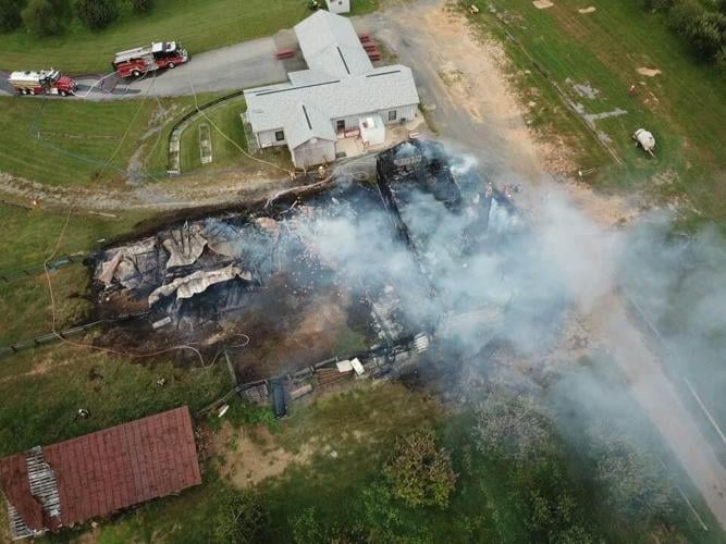 After a string of 2020 catastrophes, pick-your-own Stribling Orchard ...