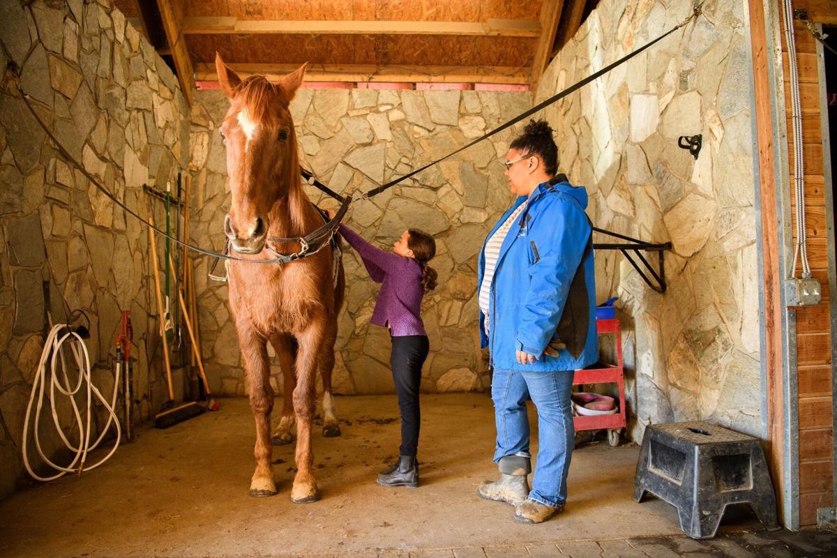 beth george equestrian