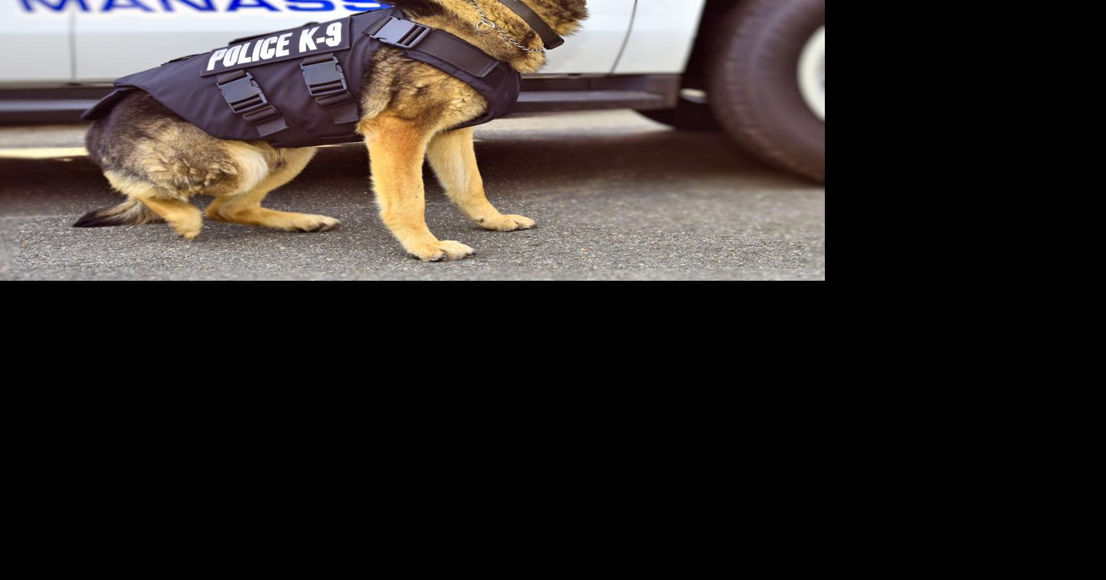 Manassas Police announce loss of retired K-9 Rex | News ...