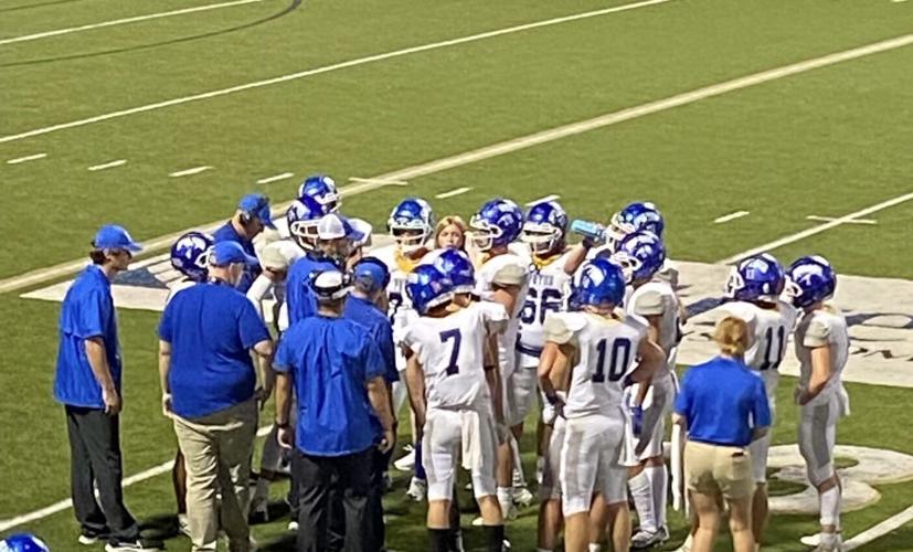 Tigers Impress, Even in Defeat | Sports | pryorinfopub.com