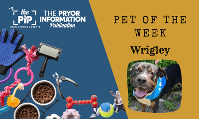 Meet Ruby: Rockin' G Animal Shelter's Pet of the Week | Community ...