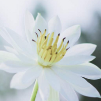 Jean Moorhead | Obituaries | pryorinfopub.com