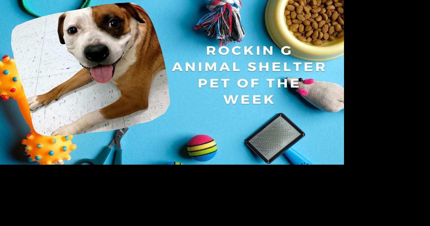 Rockin G Animal Shelter Pet of the Week | Community | pryorinfopub.com