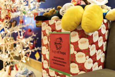 Student inspires Toy Donation Program, 'Hugs of Hope' | University Park ...