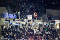 MHKY vs Minnesota, fans celebrate | | psucollegian.com