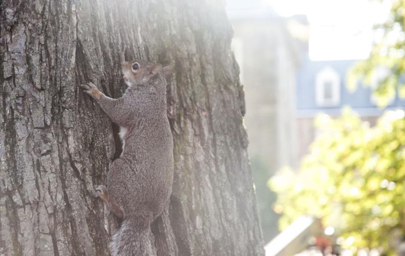 One hundred things to do in the last 100 days of classes | University ...