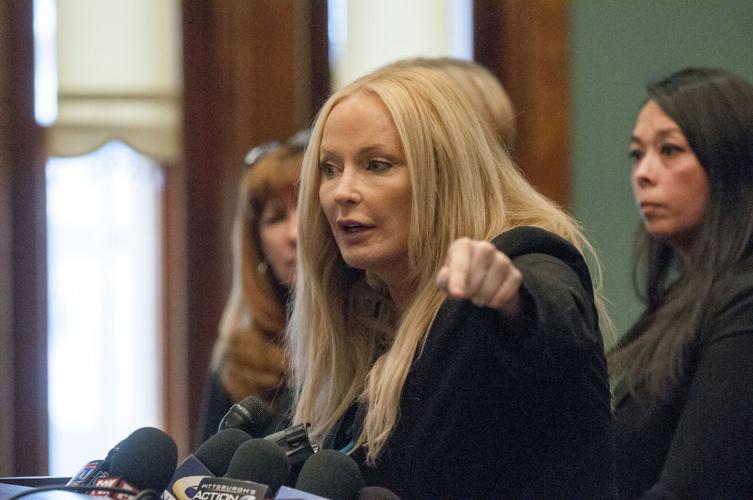 Former Centre County DA Stacy Parks Miller back in court | Here's why ...