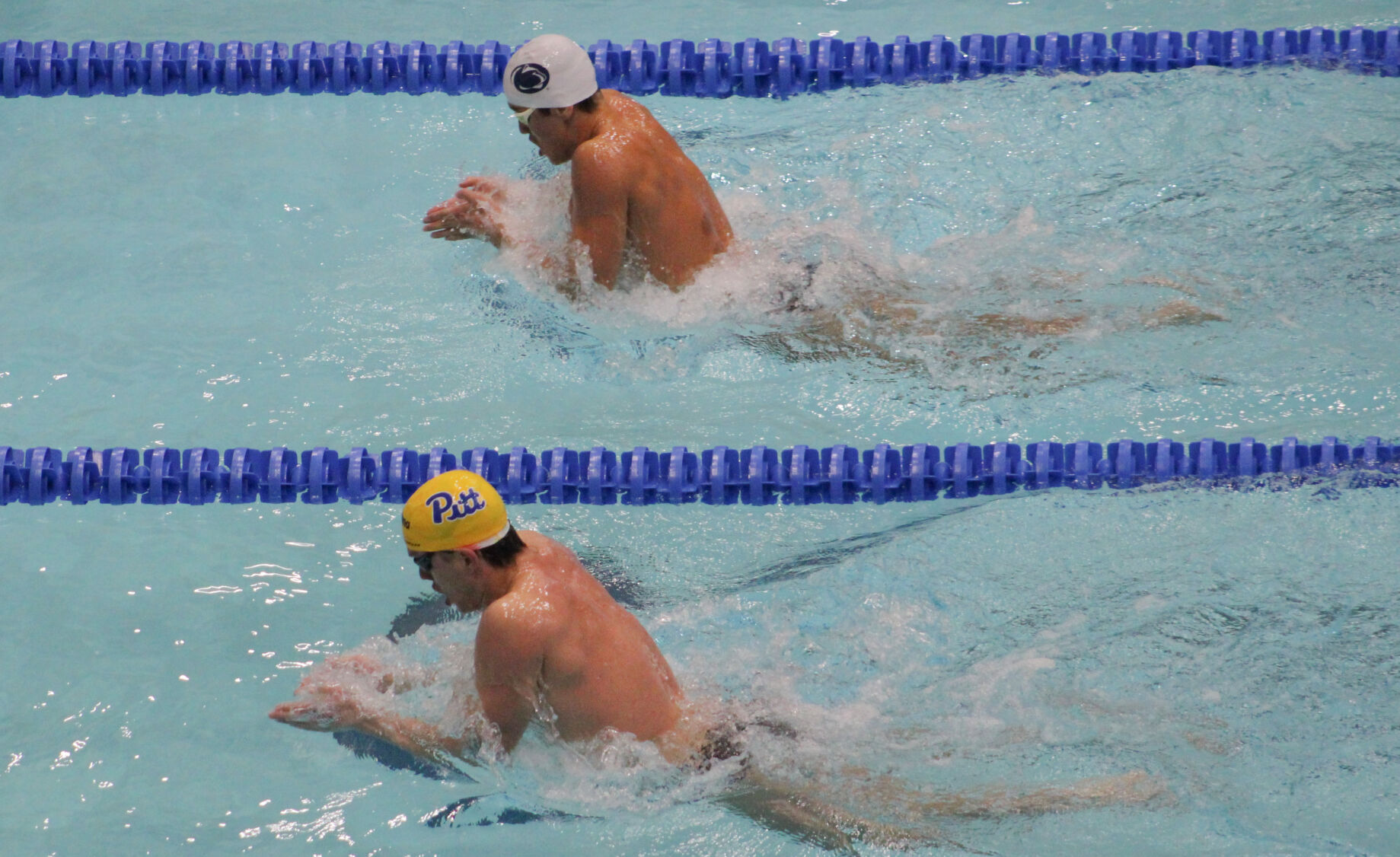 Penn State Swim & Dive News | psucollegian.com