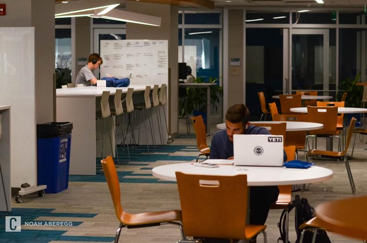 Students reflect on experiences in Division of Undergraduate Studies ...