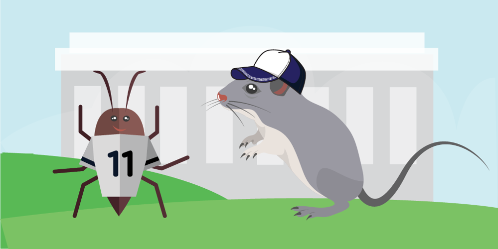 Bugging about bugs: Penn State share their experiences with insects in ...