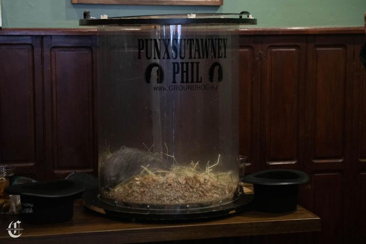 State College welcomes Punxsutawney Phil during event at The Press ...