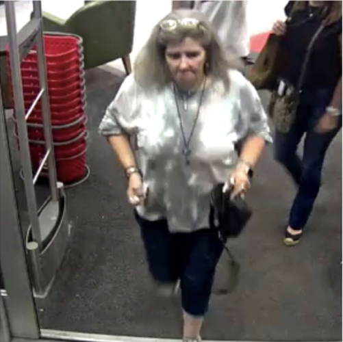 State College Police request public assistance identifying Target theft ...