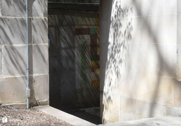 40 years a mystery | The hidden Willard Mural’s artist revealed ...