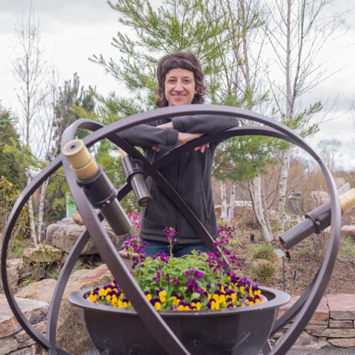 Around 30,000 tulips were planted around Arboretum a part of Penn State ...