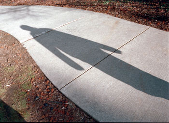 Feature Photo - Five o'clock shadow | Archived News | Daily Collegian ...