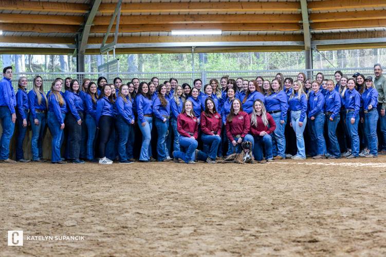 ‘You get out of it what you put into it’ | Equine Marketing course ...