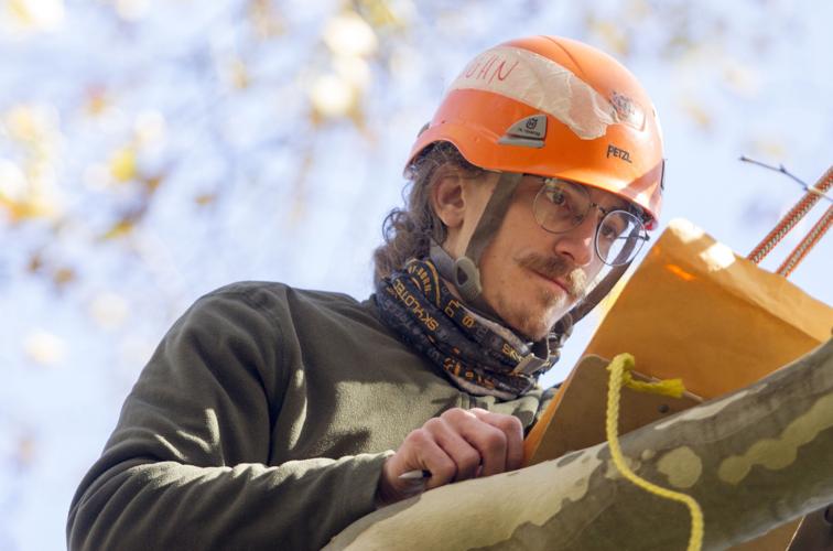 Reaching new heights: Penn State’s Horticulture 201 students learn tree ...