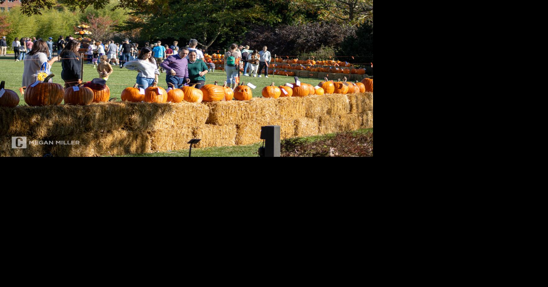 ‘It’s giving pumpkin’ | Penn State Arboretum hosts annual Pumpkin Fest ...