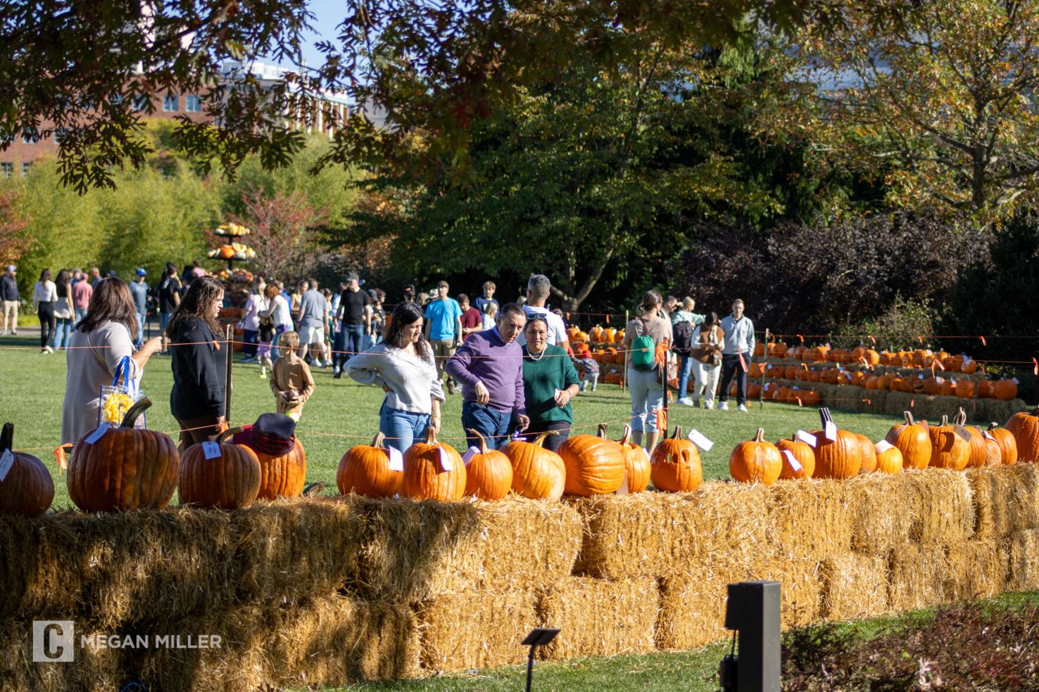 Upcoming fall events in State College | Blogs | psucollegian.com