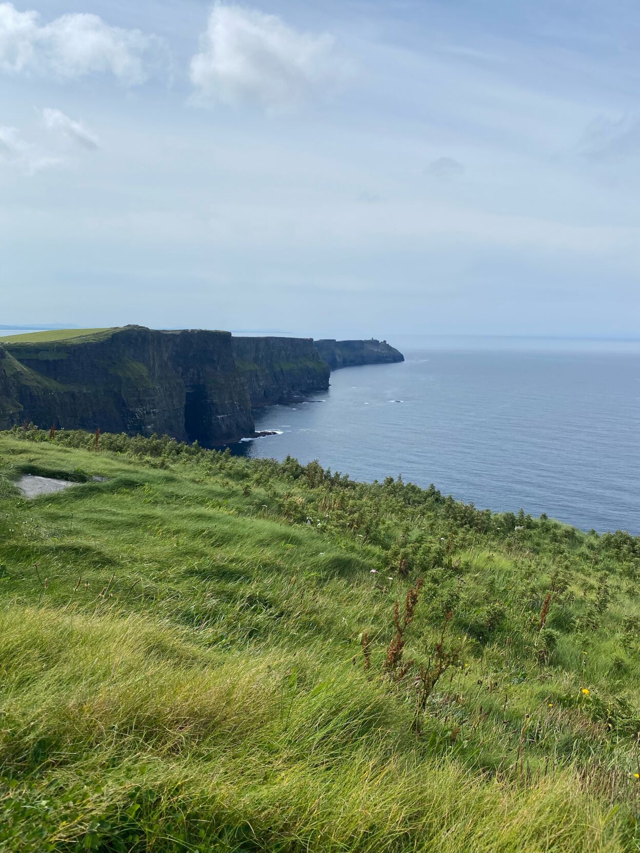 Cliffs, cows, tombs and pubs: my first day in Limerick | Opinions ...