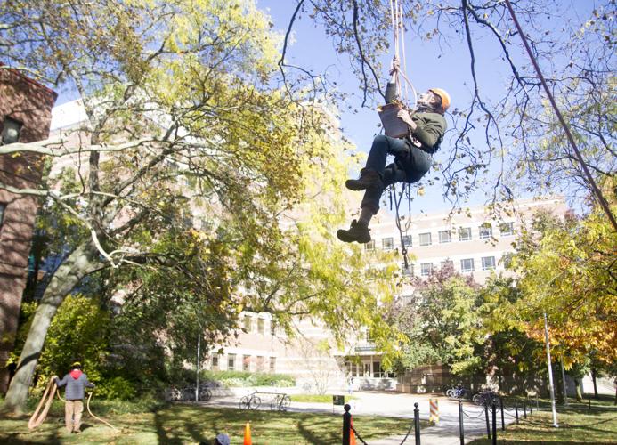Reaching new heights: Penn State’s Horticulture 201 students learn tree ...
