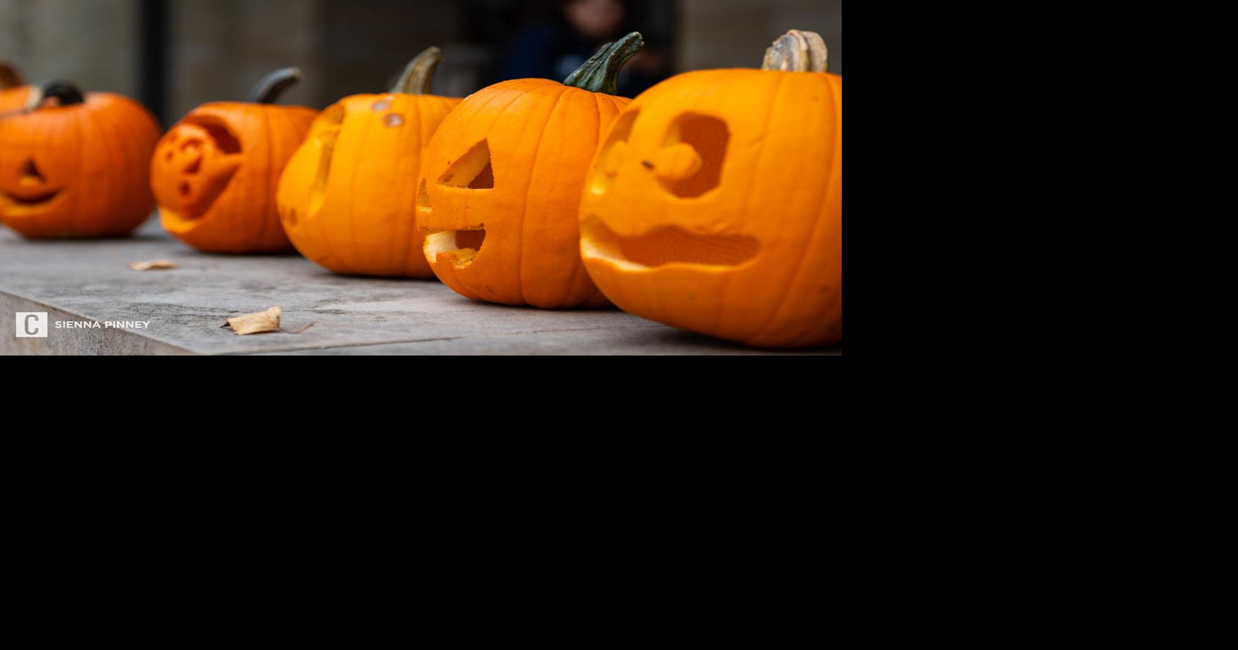 Arboretum, Pumpkin Line-up | | psucollegian.com