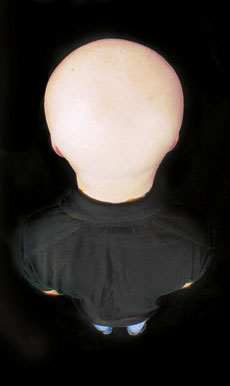 The Bald and the Beautiful | Archived News | Daily Collegian ...