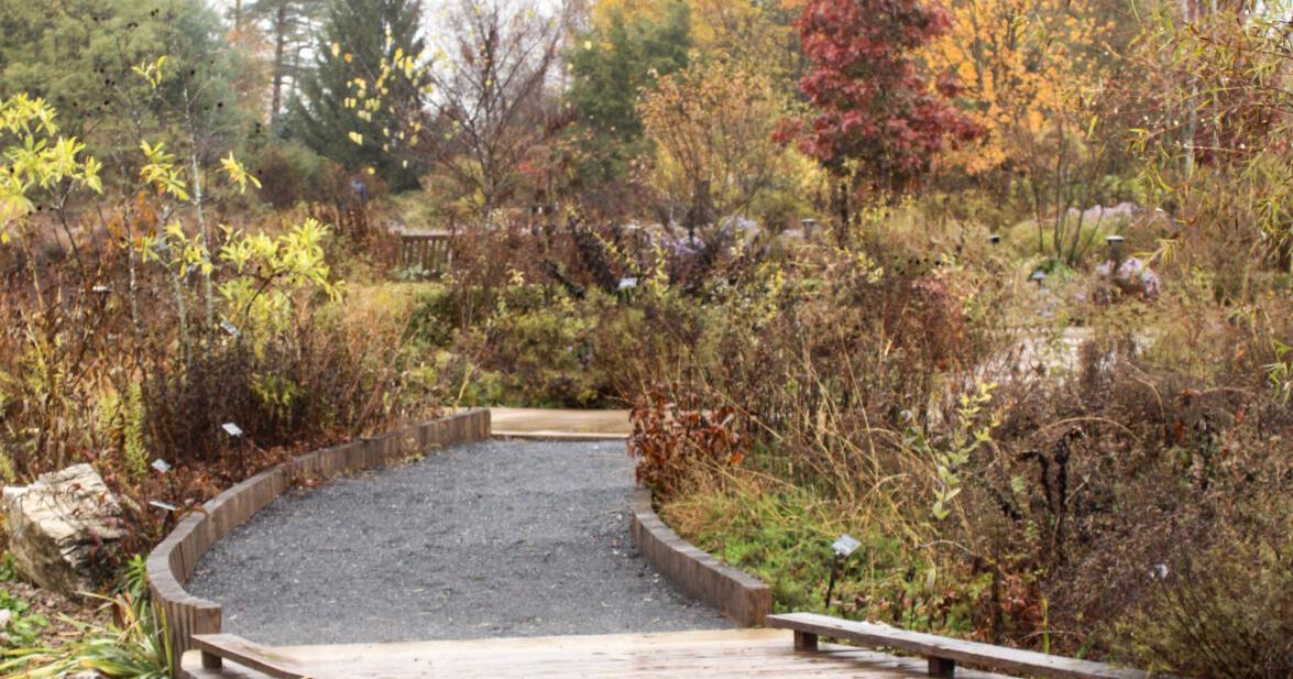 Nature Photos, boardwalk/path over koi pond | | psucollegian.com
