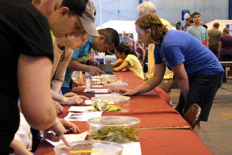 Penn State’s Great Insect Fair creates insect-incorporated snacks ...