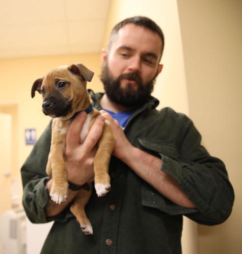 Centre County PAWS receives much of its support from volunteers within ...